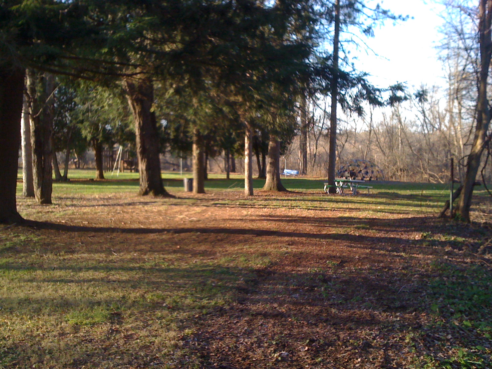 Acorn Place: Freeville Tour: Mill Dam Park
